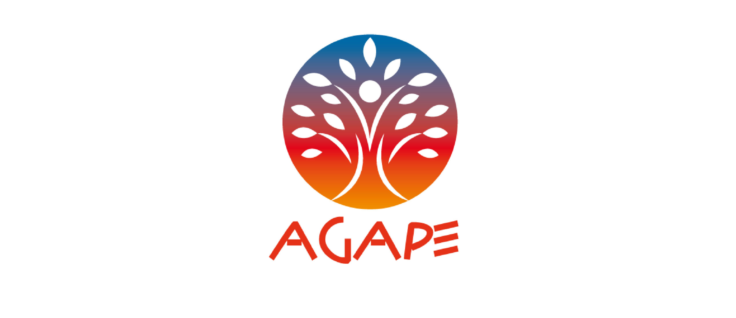 AGAPE - Caritas Diocesana de Coimbra EN